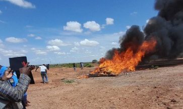 The Rise of Synthetic Drugs: A Global Health and Security Challenge - Human Rights Agency